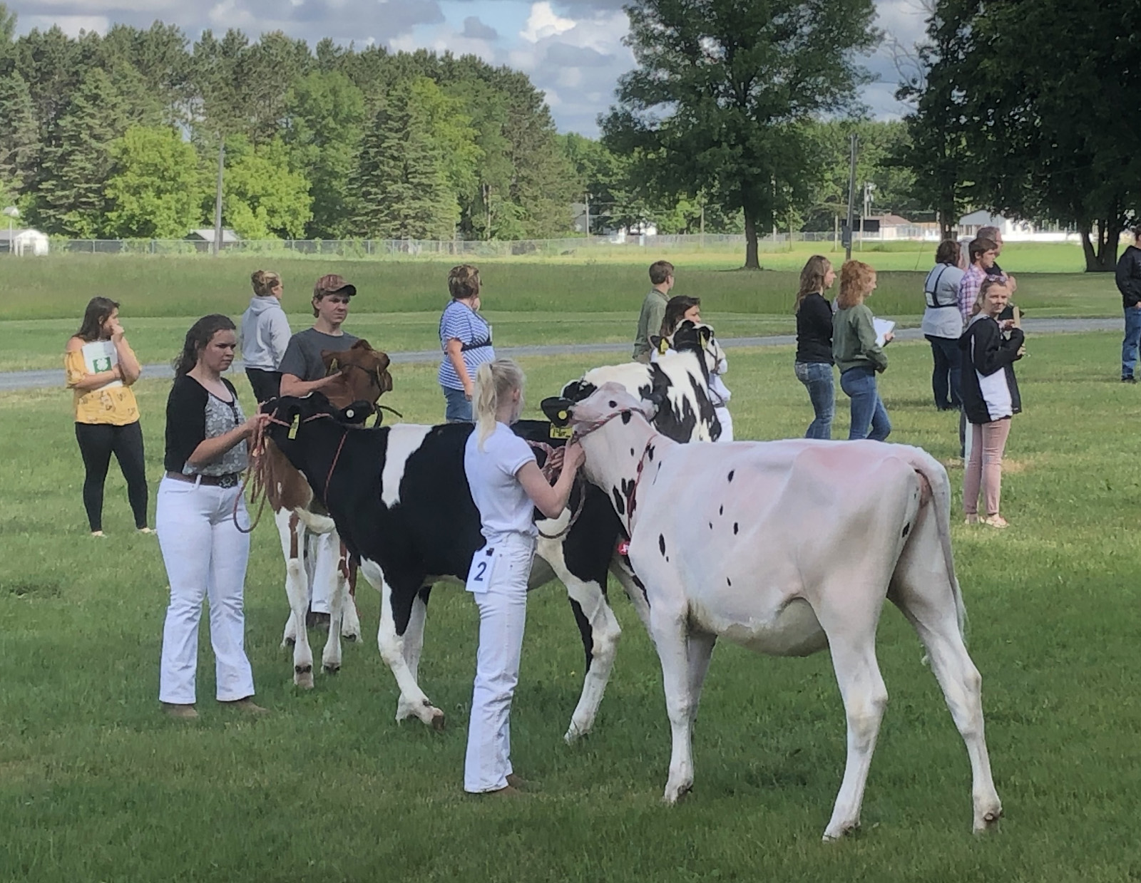 Large Animals Animal Science Wisconsin 4 H