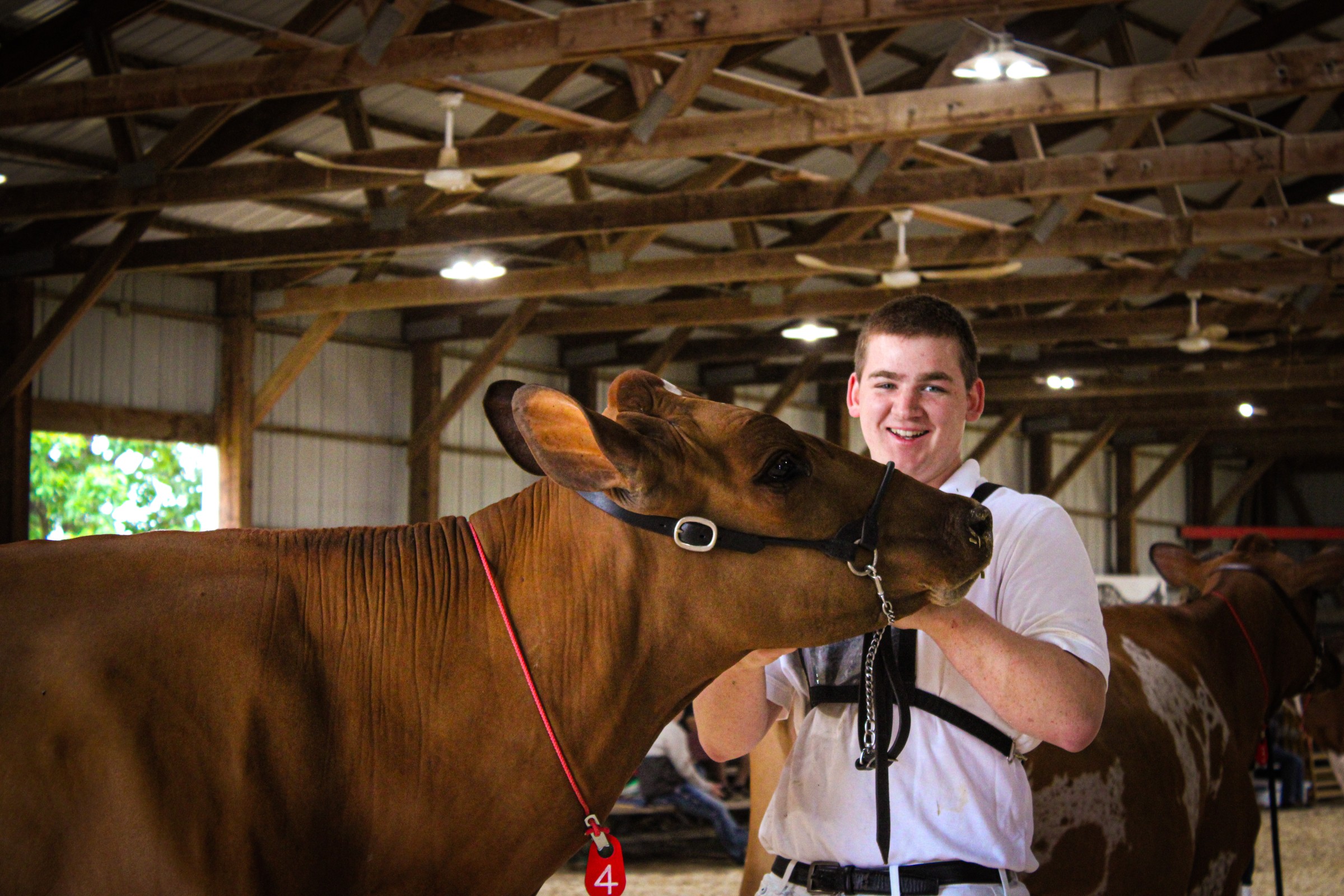 The Results are in for Area Animal Science Days! – Wisconsin 4-H