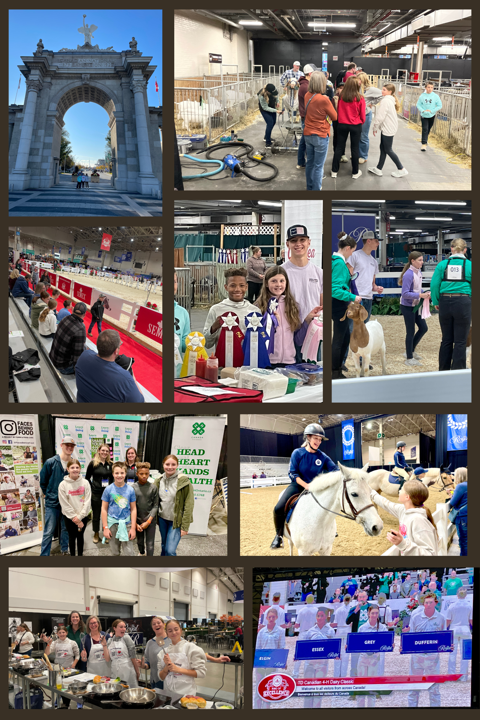 Jefferson Co. at the 102nd Royal – Wisconsin 4-H